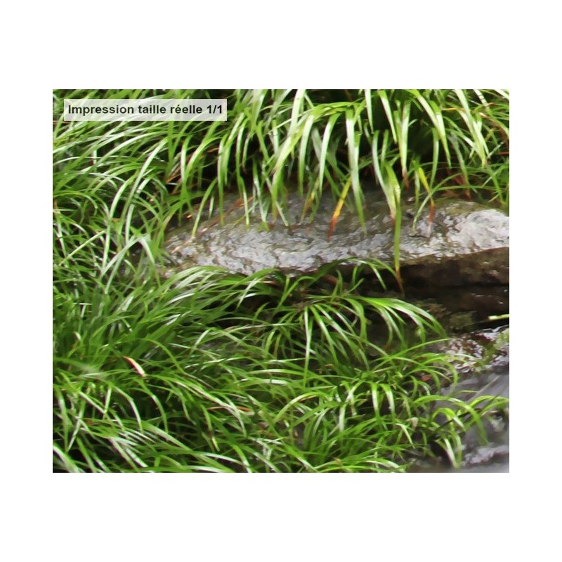 sol 3d salle de bain toilettes cuisine paysage zen trompe l'oeil ...